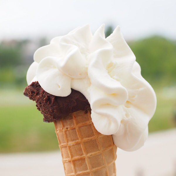 Warum wird Sahne beim Schlagen steif? – The Vegetarian Diaries